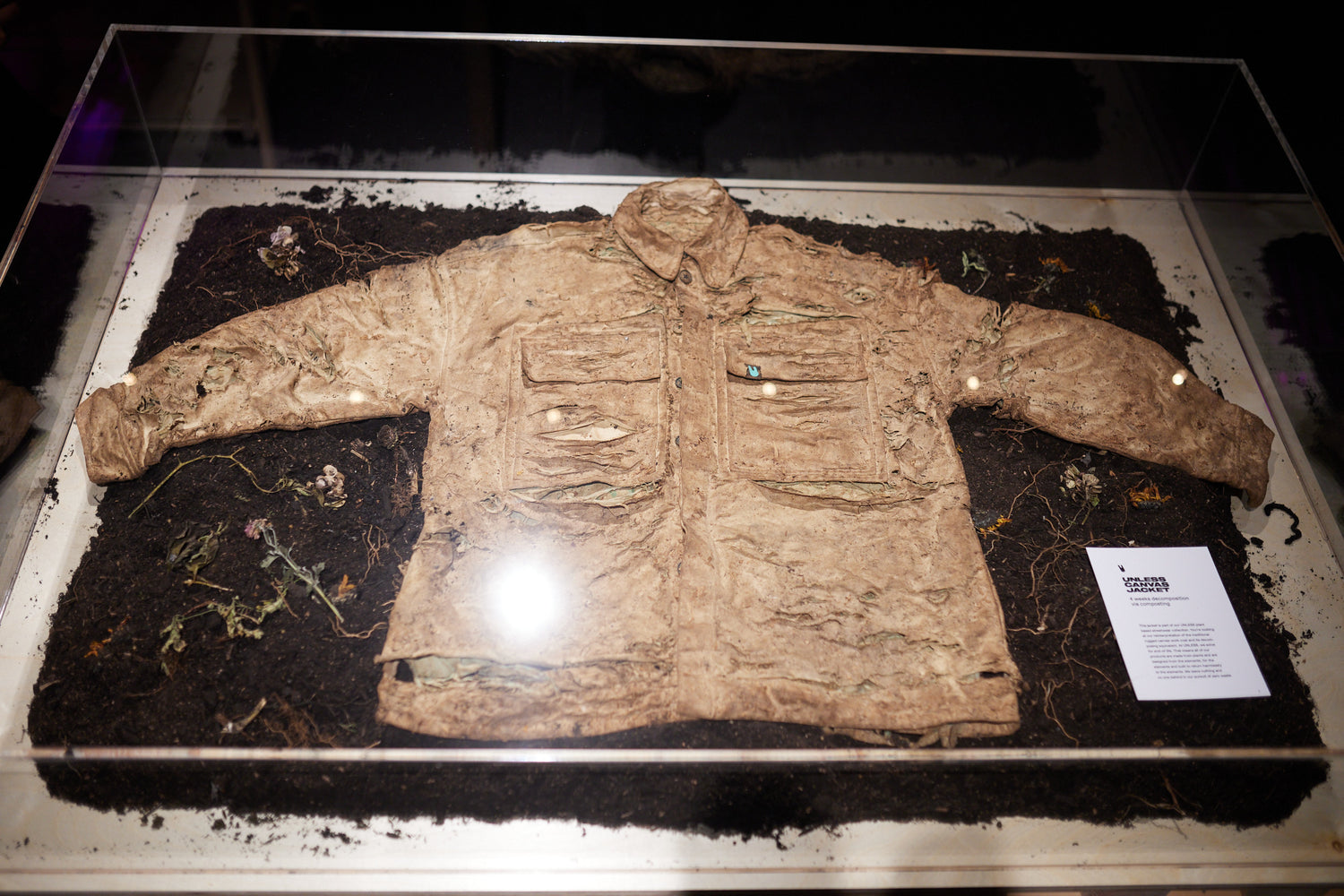 Lookbook | UNLESS Collective | Biodegradable Clothing